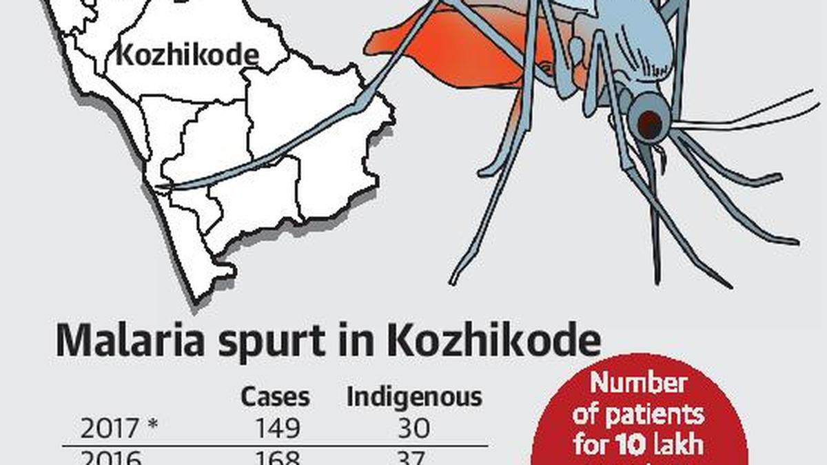 Malaria back with renewed sting - The Hindu