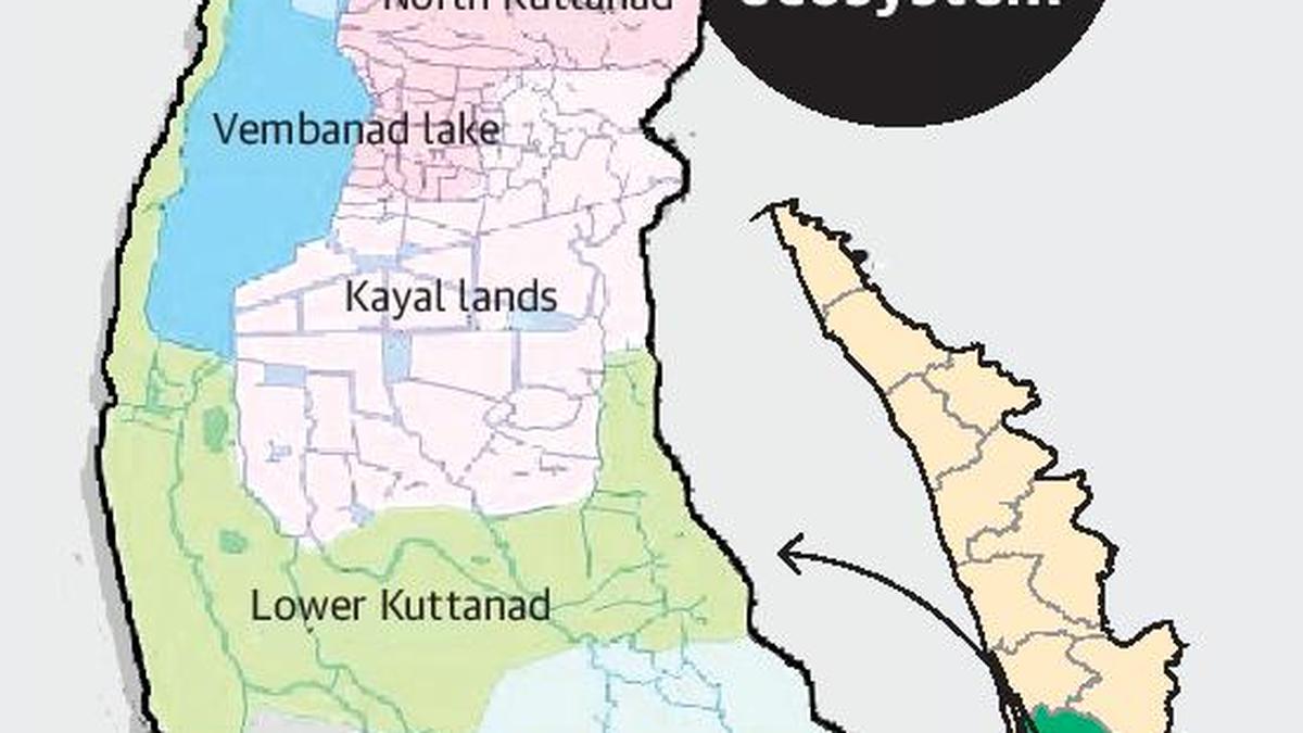 Revival for Kuttanad package - The Hindu
