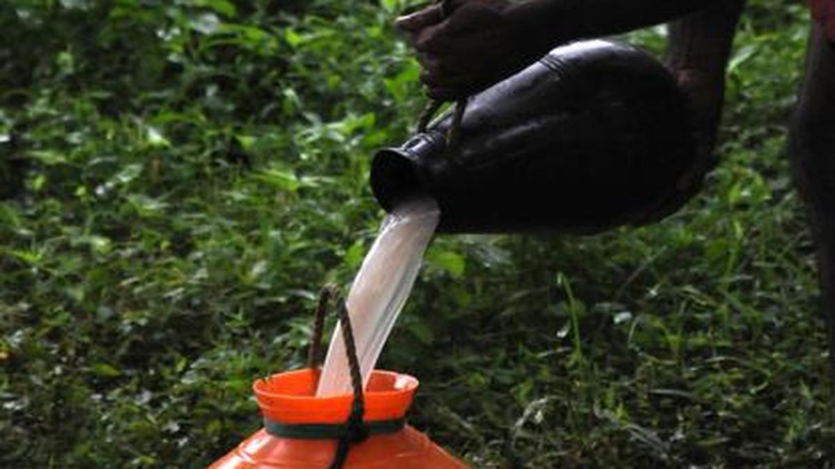 Toddy is a very mild alcoholic beverage: Kerala - The Hindu