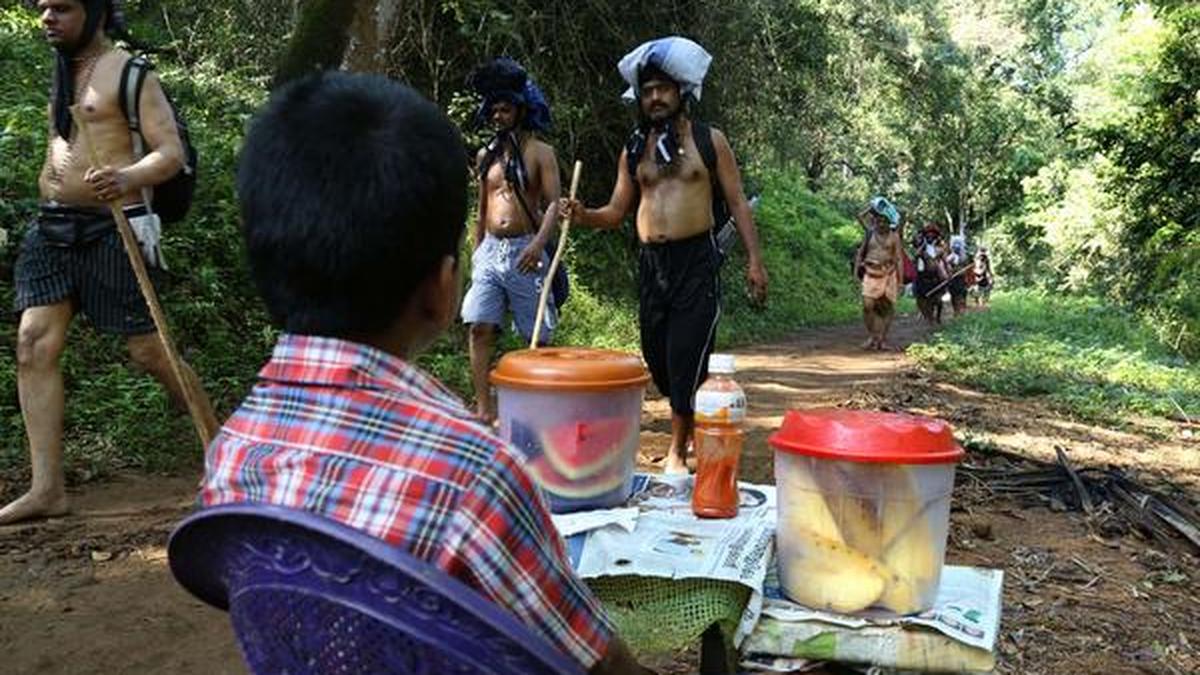 Pilgrims run the gauntlet on Karimala path - The Hindu