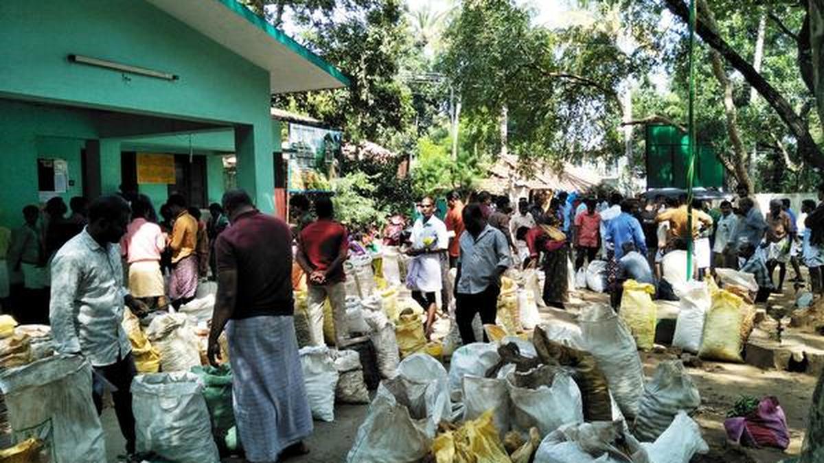 Chilla turns a new leaf for farmers - The Hindu