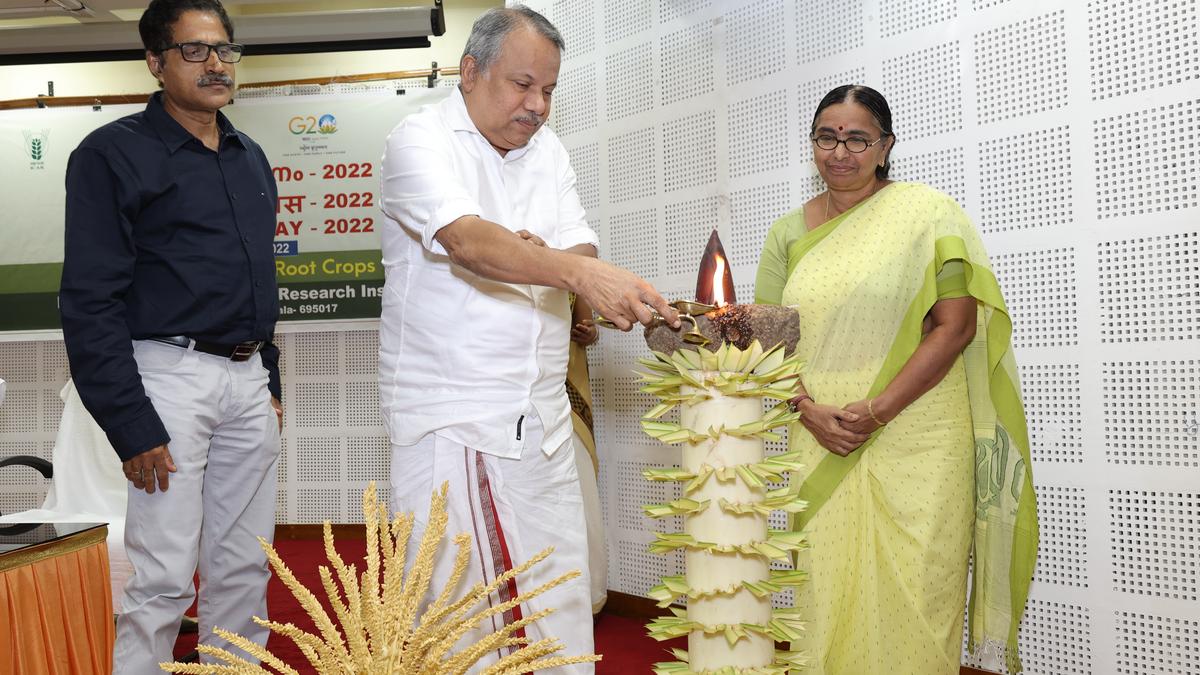 Tuber Crops Day celebrated - The Hindu