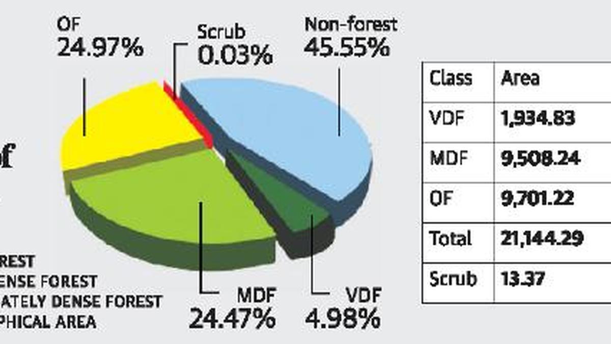 Growing forest cover turning Kerala greener - The Hindu