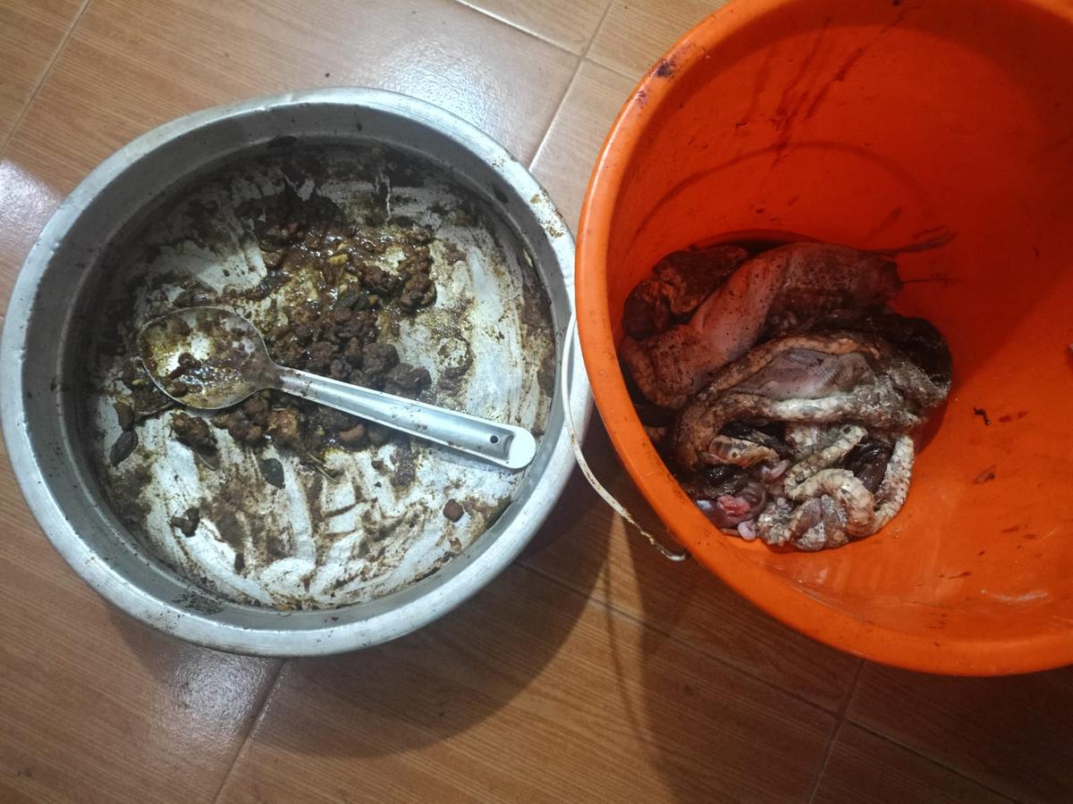 Two arrested for killing python, cooking its meat in Kerala’s Kannur ...