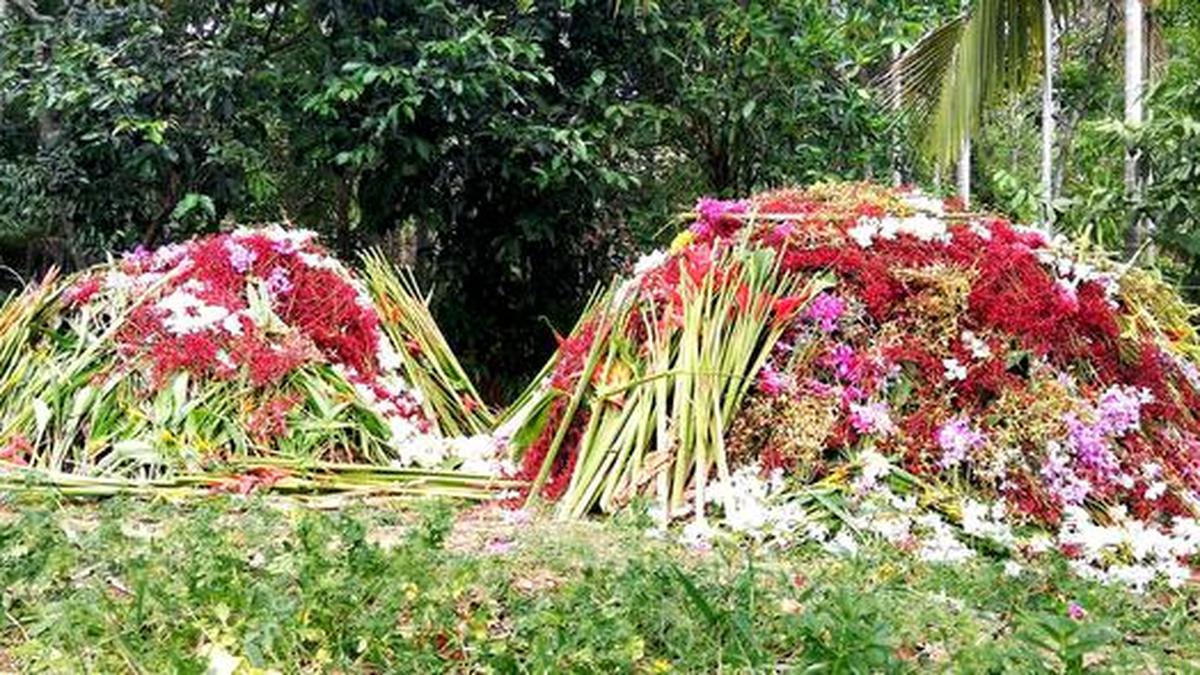 Ornamental blooms turn to compost - The Hindu