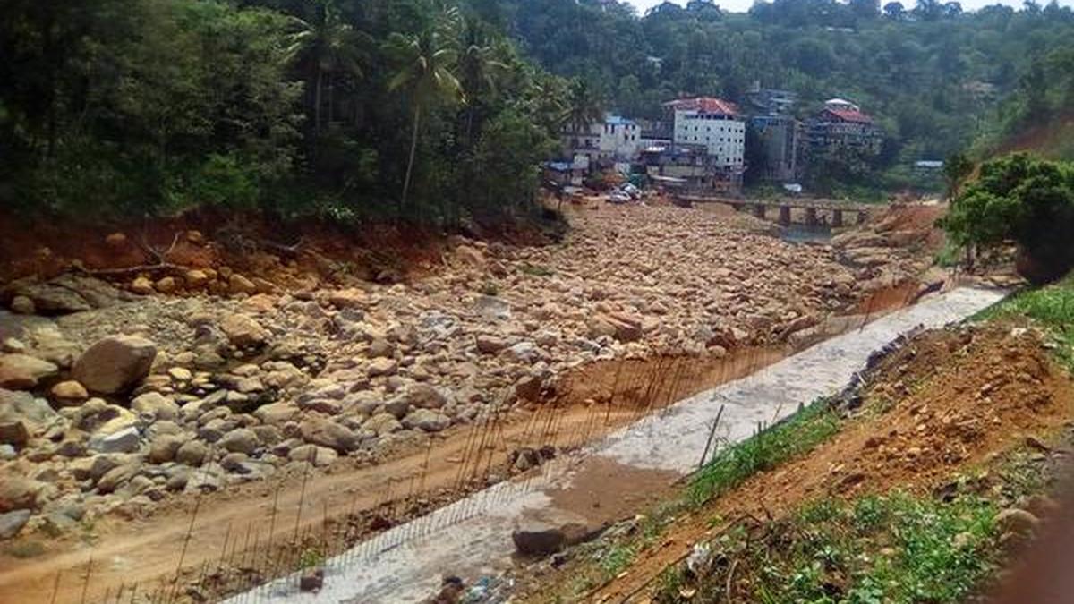 Efforts on to restore Periyar at Cheruthoni - The Hindu