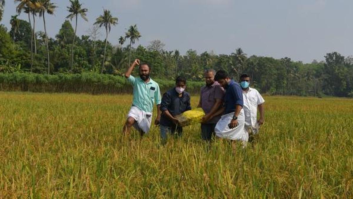 SilverLine survey stones removed by protesters - The Hindu