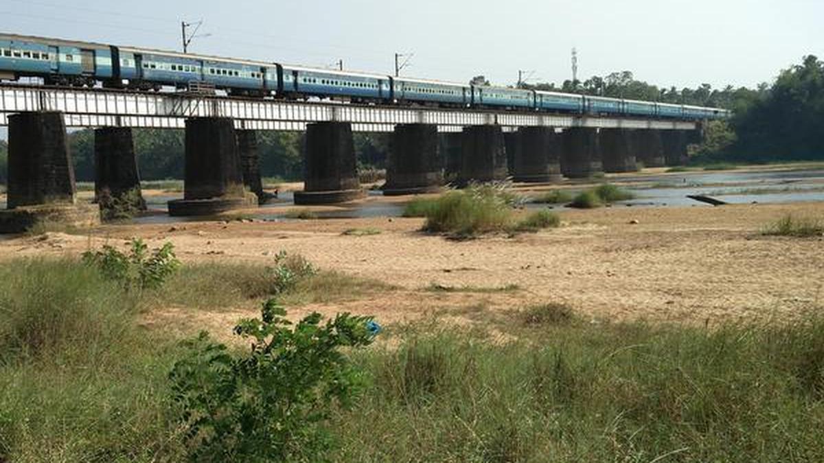 Bharathapuzha gets a revival plan - The Hindu