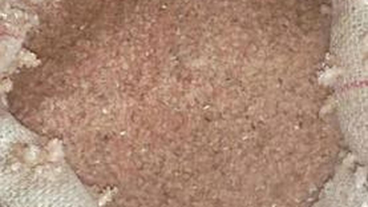 Worm-infested rice at ration shops raises a stink - The Hindu