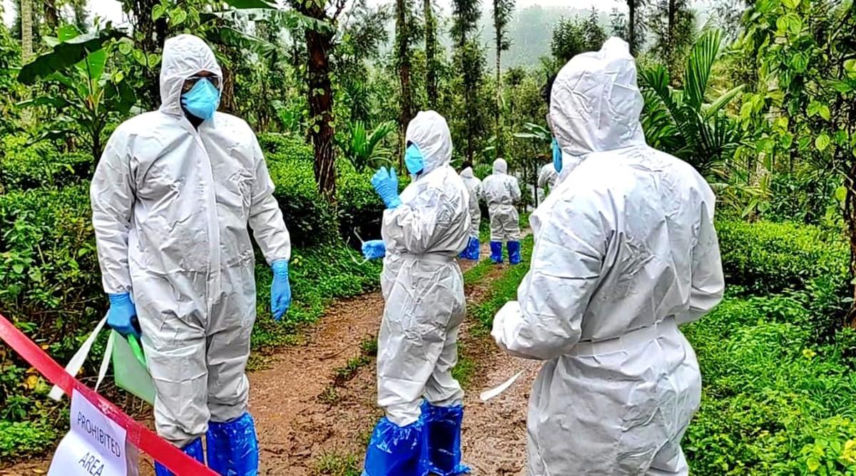 Culling of pigs in Wayanad farm completed - The Hindu