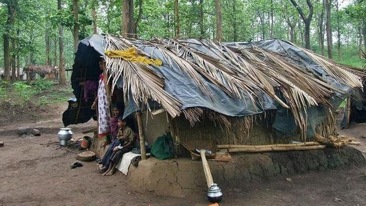 Betrayed, Wayanad tribes on the warpath - The Hindu