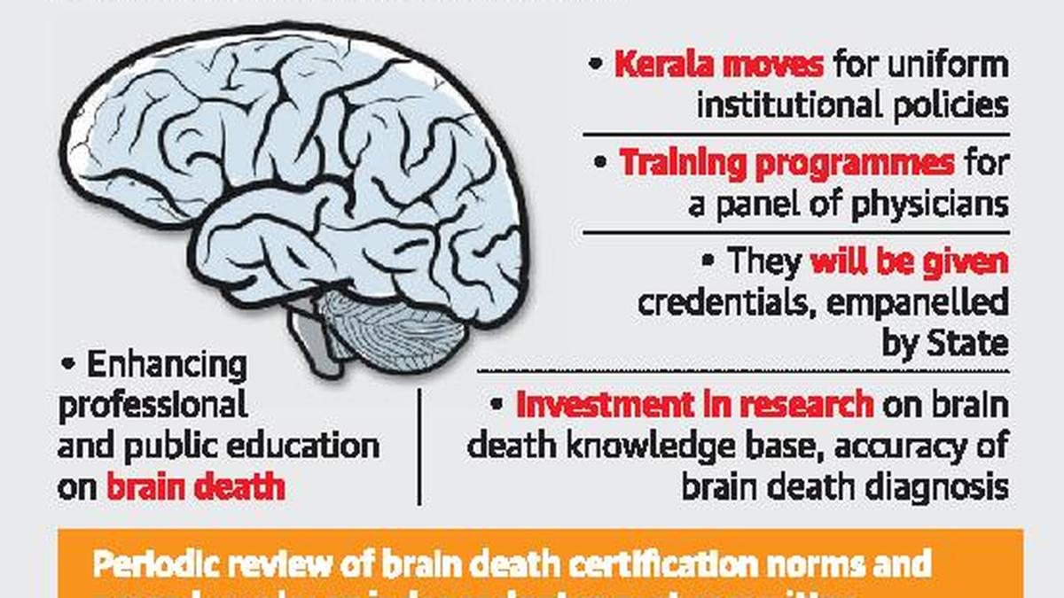Brain death certification to be mandatory - The Hindu