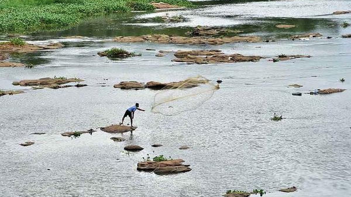 State to ensure environmental flow of rivers - The Hindu