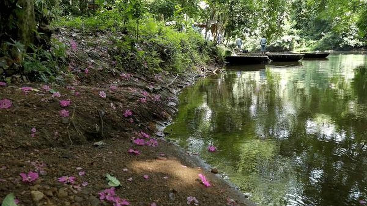 Adavi-Gavi tourism circuit reels under COVID-19 impact - The Hindu