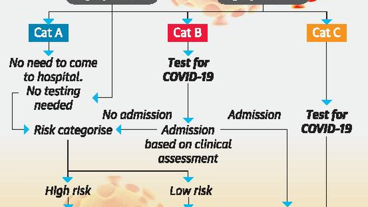Kerala Health department draws up new protocols - The Hindu