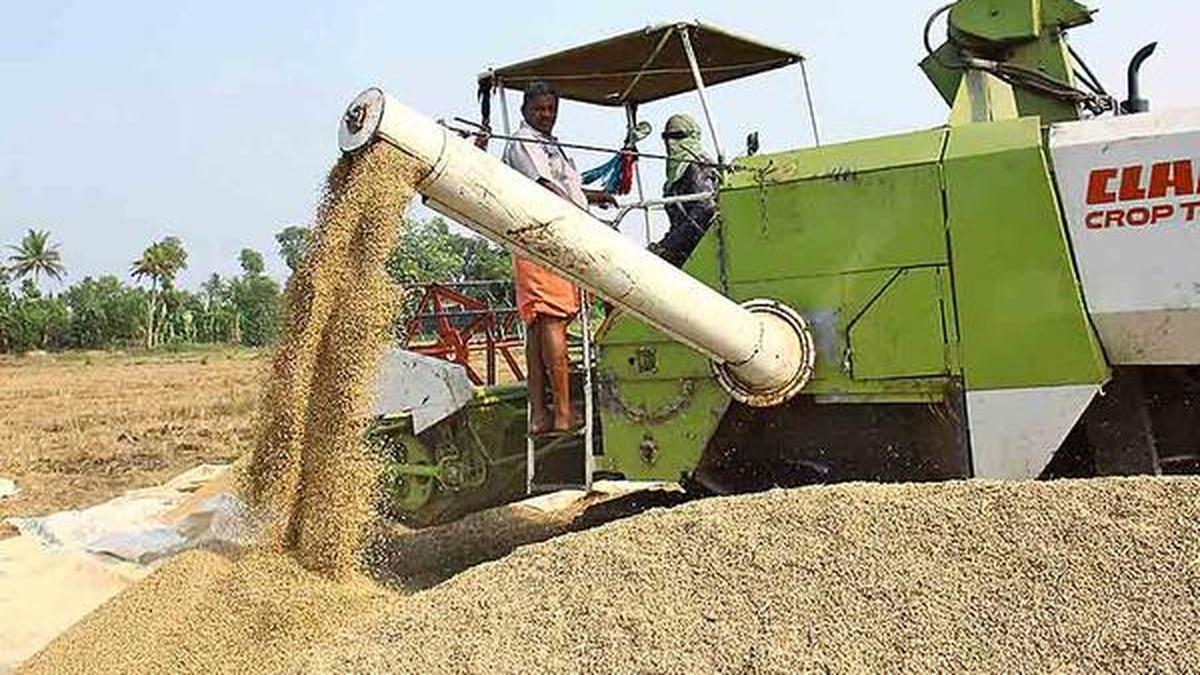 Paddy procurement to be resumed in Kuttanad - The Hindu