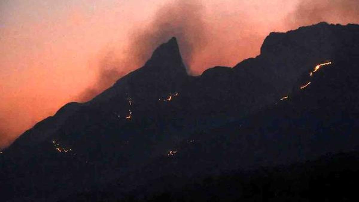 Forest fire at Attappady peak dies down - The Hindu