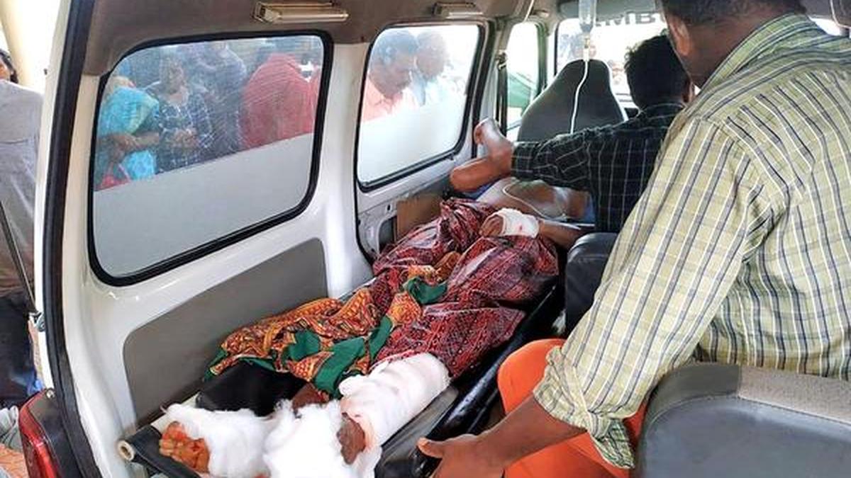 Forest watcher injured in tiger attack in Wayanad - The Hindu