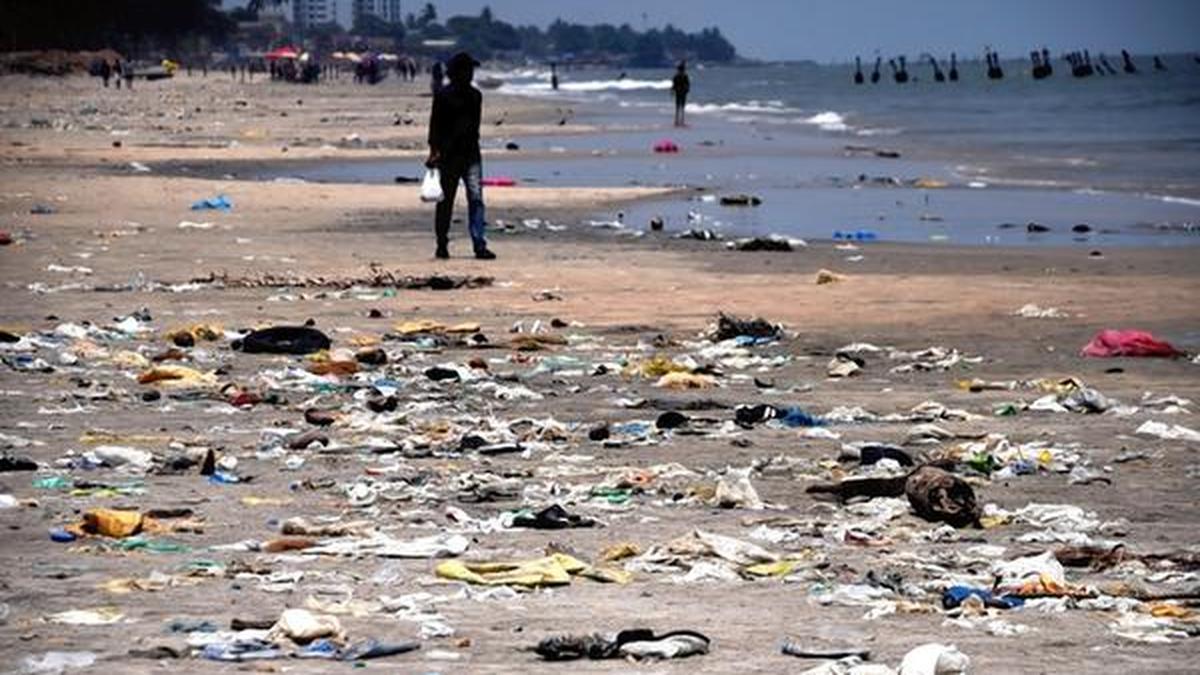 Kerala to make tourist destinations waste-free - The Hindu
