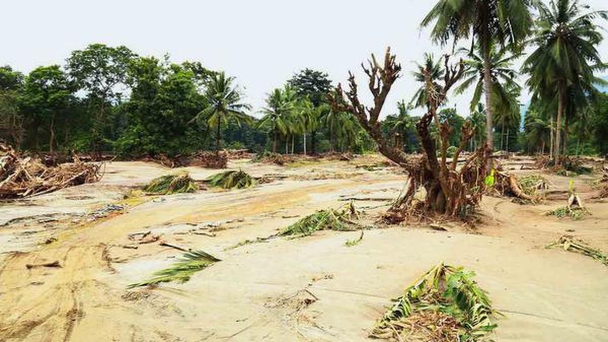 Bridge across Chaliyar at Munderi soon - The Hindu