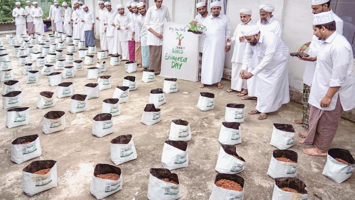 Turning a mosque’s terrace into a vegetable farm - The Hindu