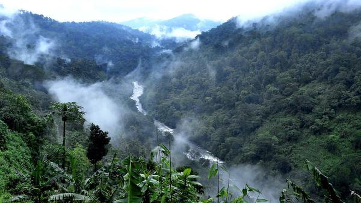 Nilackal-Pampa metro or monorail mooted - The Hindu