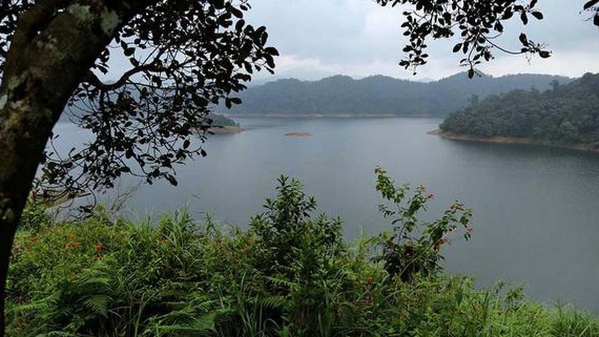 Kakki-Anathodu dam to be opened at 11 a.m. as water level rises - The Hindu