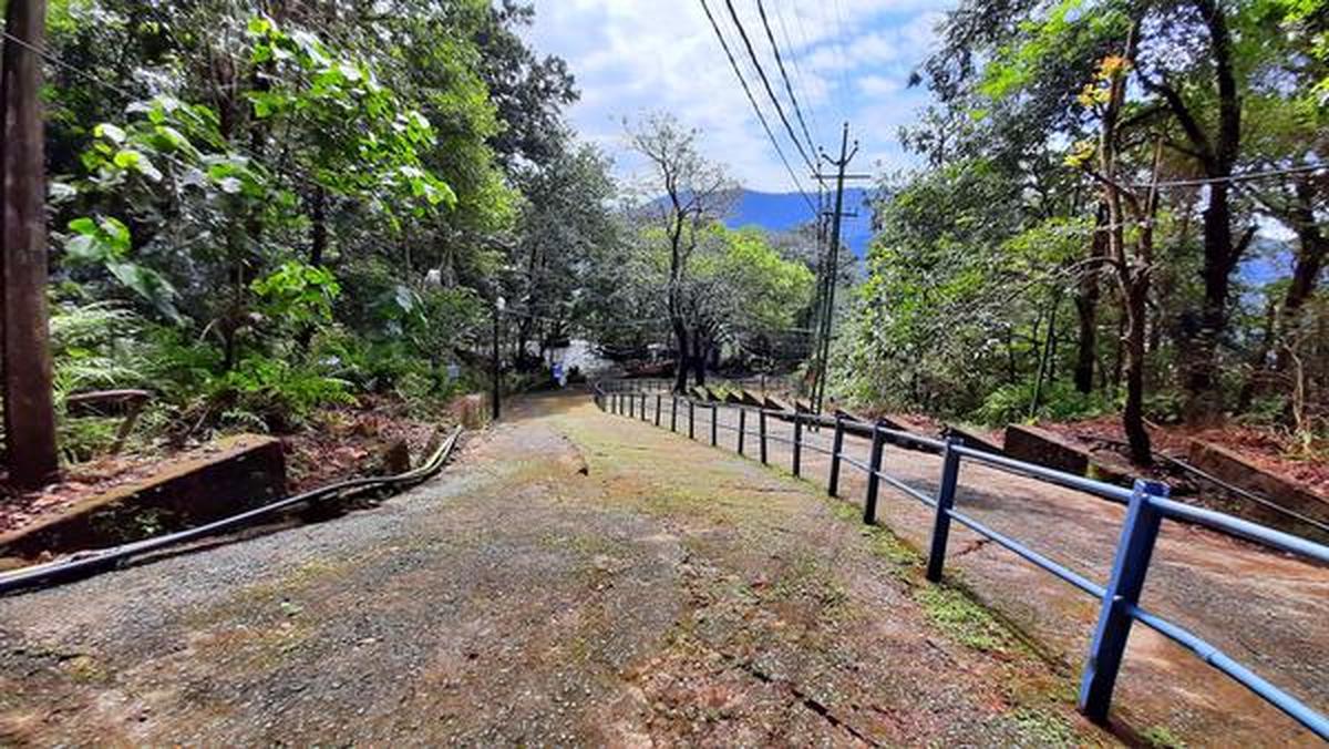 Traditional trekking path to open today - The Hindu