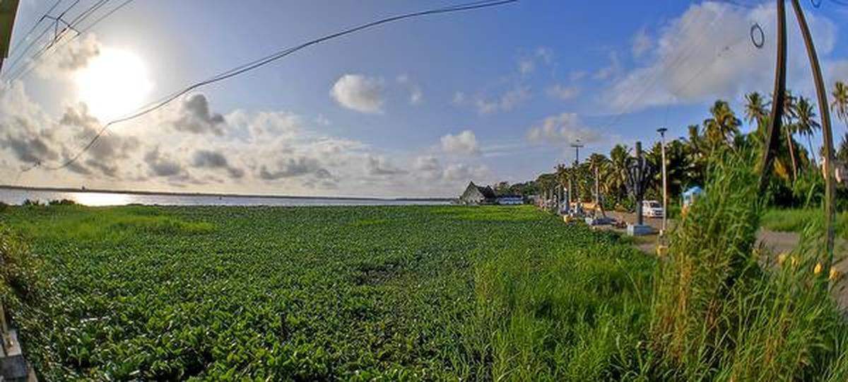 Lakeside beach of Vaikom to get facelift - The Hindu