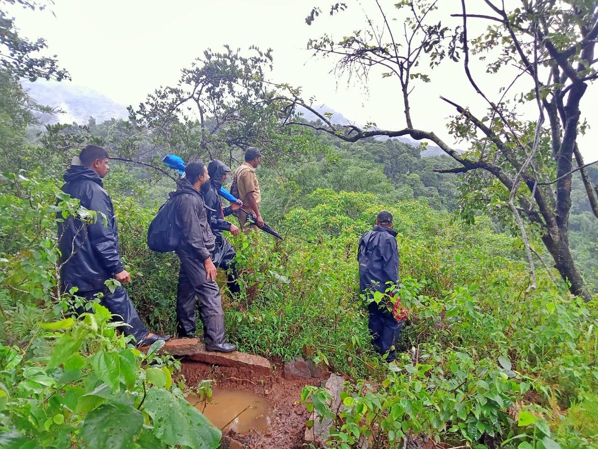 Elephants chased back into forest in Wayanad - The Hindu