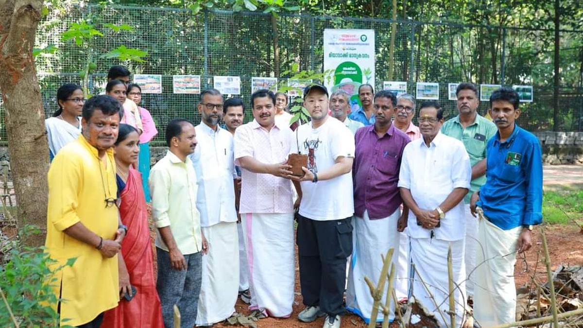 Vellinezhi welcomes Miyawaki’s disciple from Japan - The Hindu