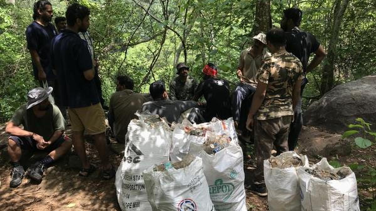 Greens welcoming the ‘Mahabali’ of frogs - The Hindu