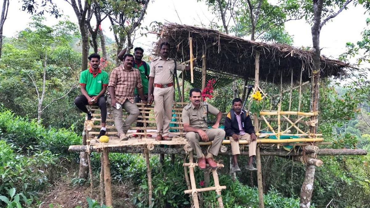 Periya forest range officials in Wayanad finding model ways to avert ...