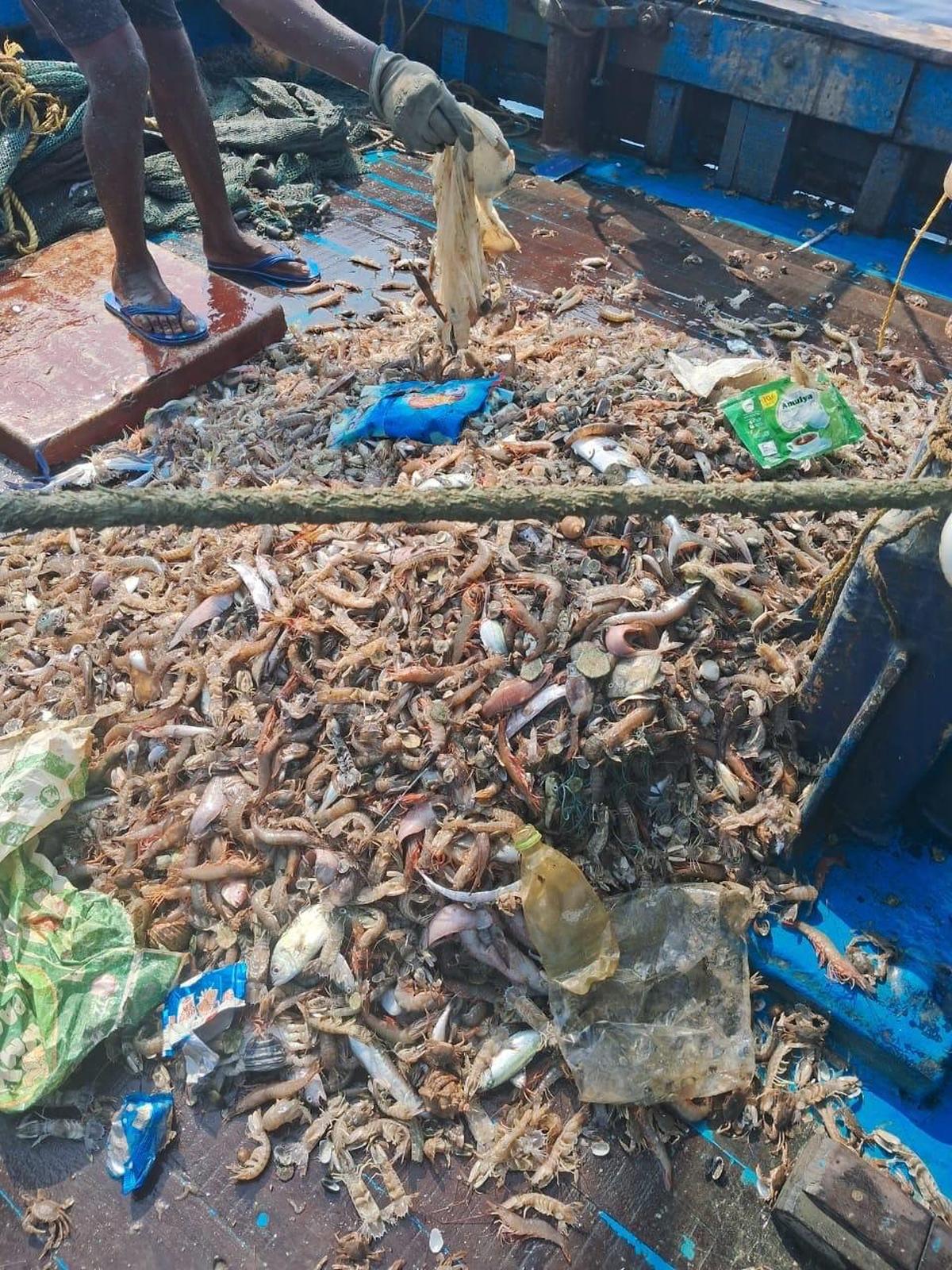 Cleaning up oceans with fishermen - The Hindu