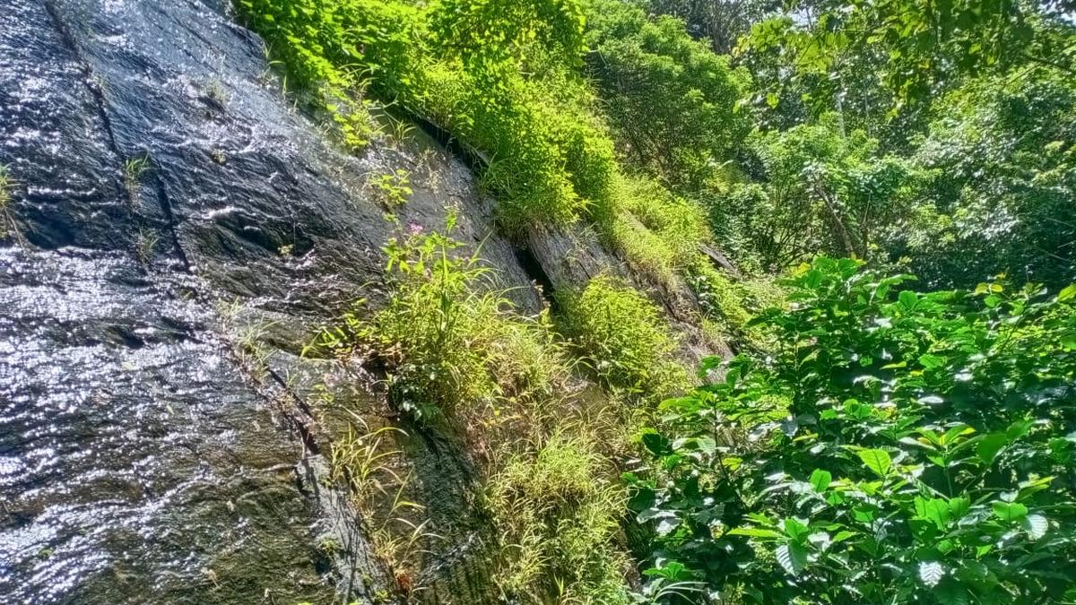 Protest mounts against move to set up granite quarry at ecologically ...