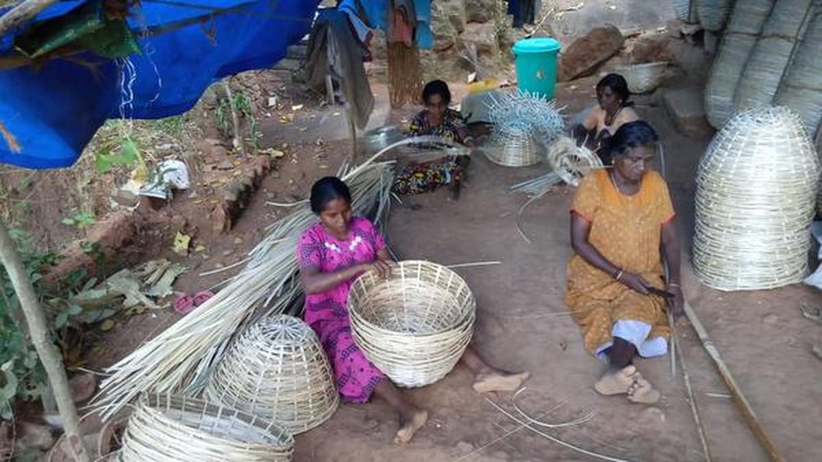 Pandemic leaves bamboo sector in tatters - The Hindu