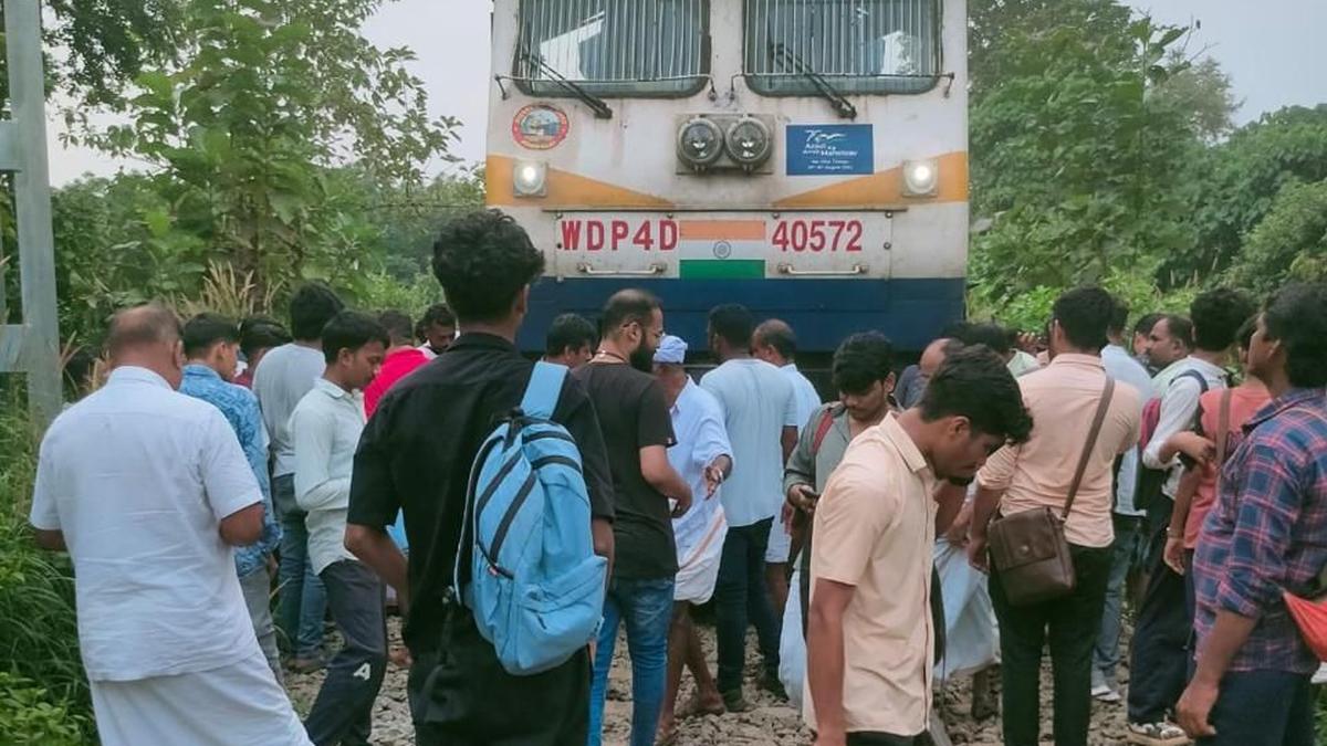 Train hits buffalo, derails at Vallapuzha - The Hindu