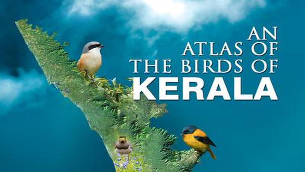 Kerala gets its first ever scientific bird atlas - The Hindu
