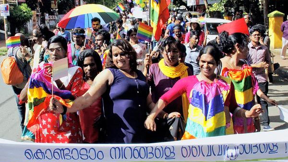 Hundreds take part in LGBTQ pride parade - The Hindu
