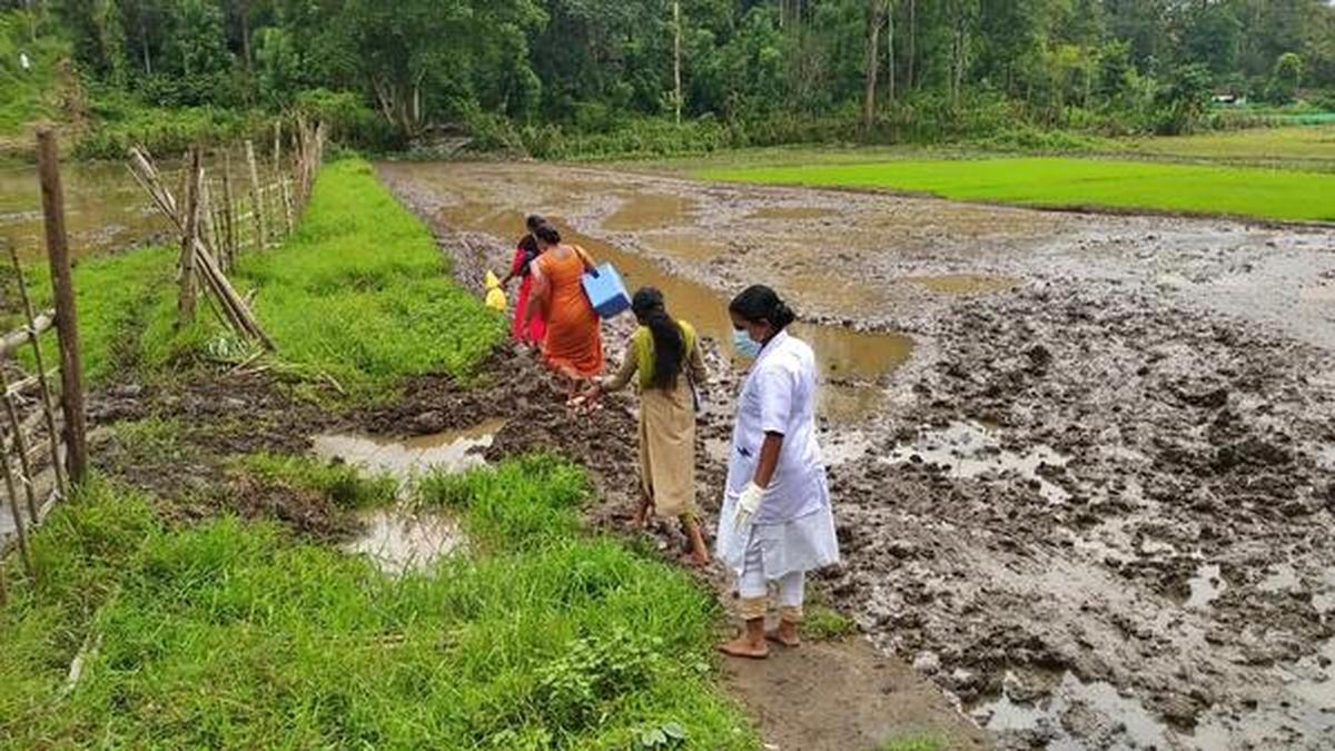 Noolpuzha becomes first tribal village in Kerala to achieve complete ...