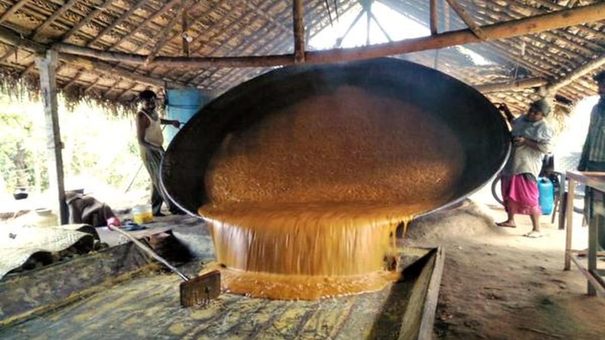 Marayur starts receiving tourists - The Hindu