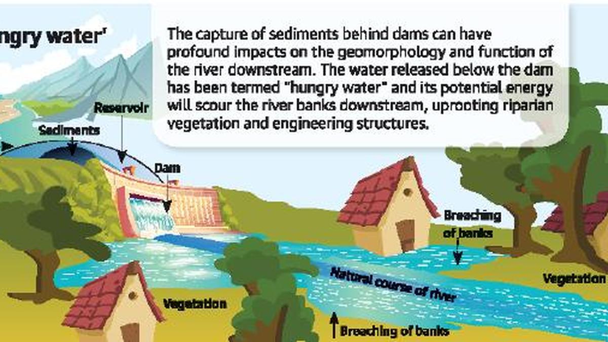 ‘Hungry water’ effect blamed for flood damage - The Hindu