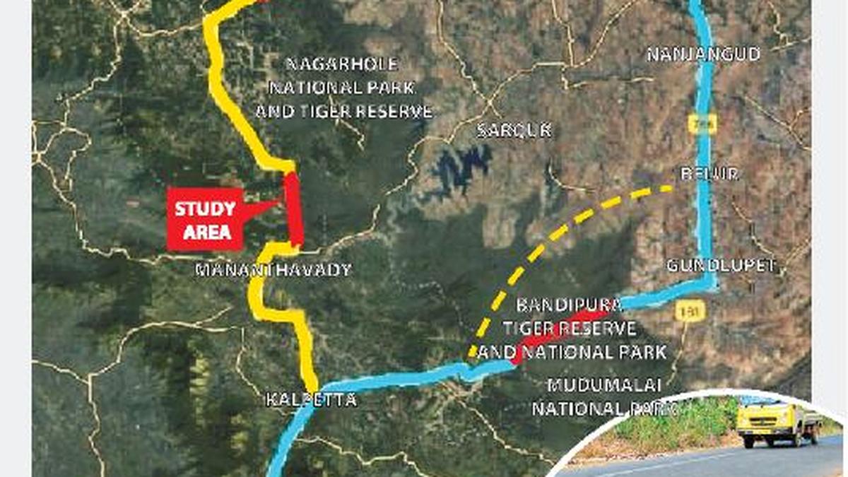 Alternative to NH 766 tops in roadkills - The Hindu