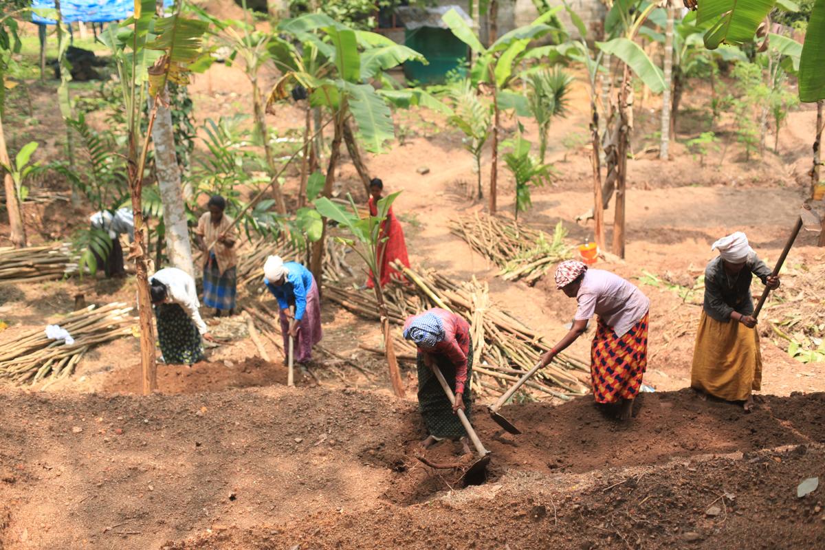 Finding solace and jobs with Tribal plus - The Hindu