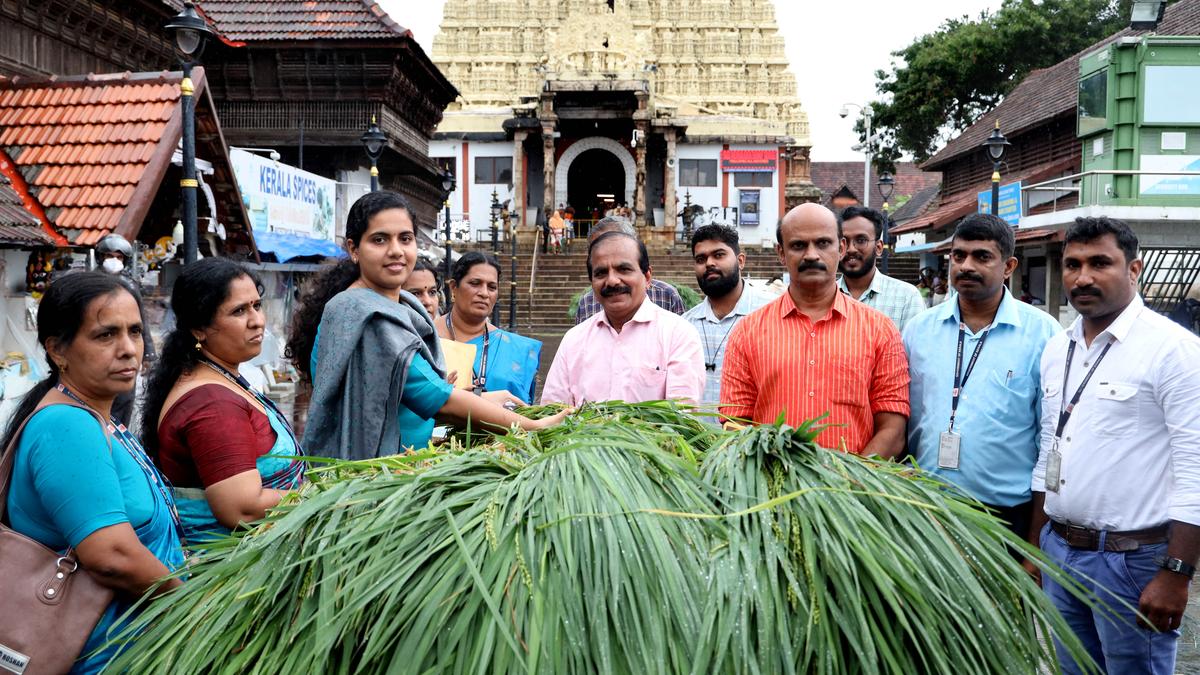 Mayor hands over paddy spikes for ‘Niraputhari’ ritual - The Hindu