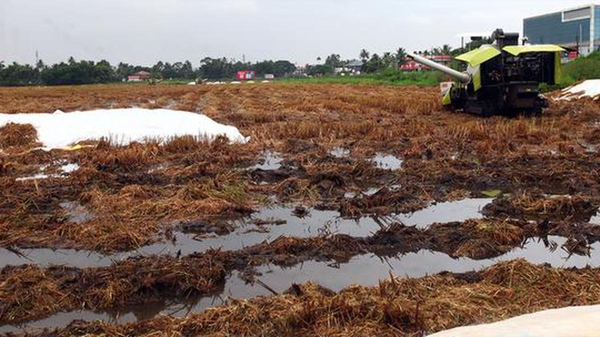 Package of Practices to explore improved farming amid extreme weather ...