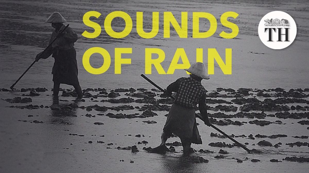 Watch | The Sounds of Rain: experience the monsoon in Kerala - The Hindu