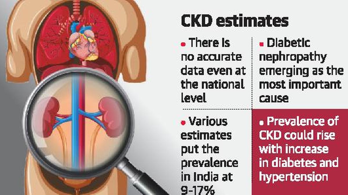 Rising CKD burden weighting State down - The Hindu