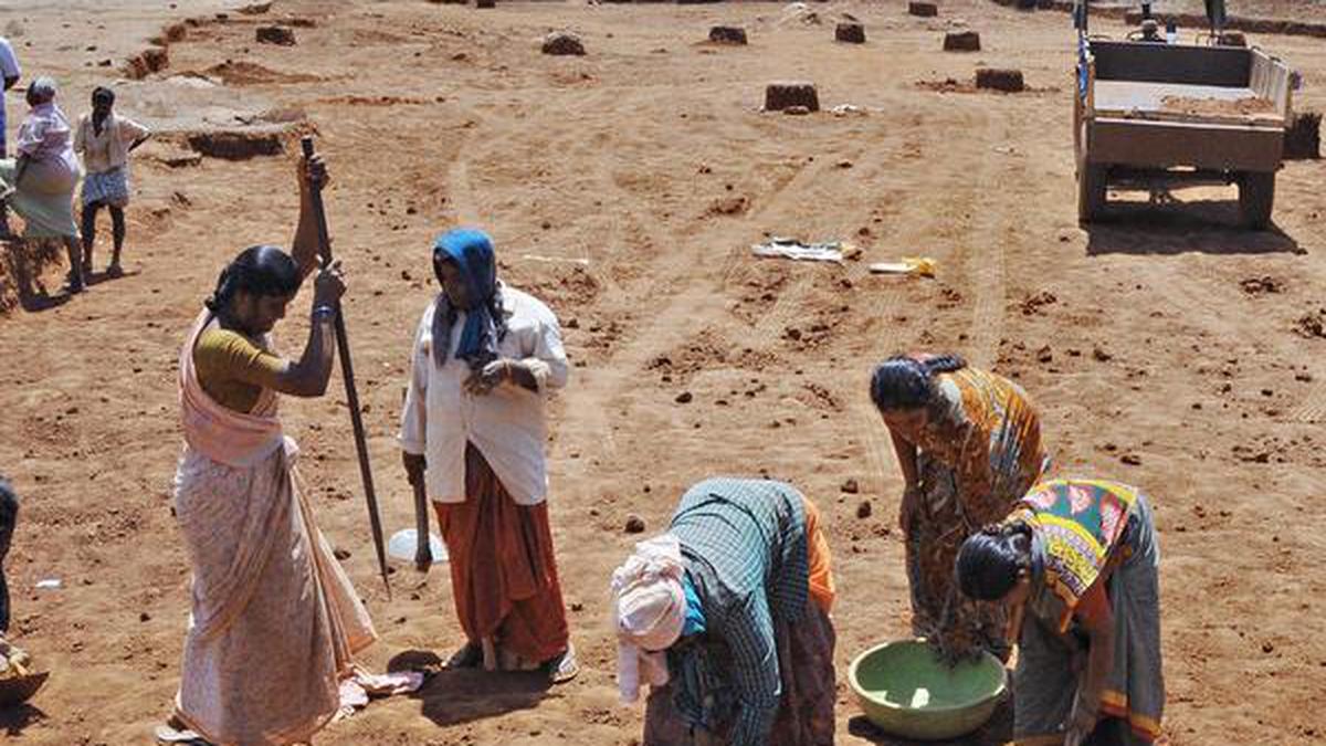 Tackling rural economic distress - The Hindu