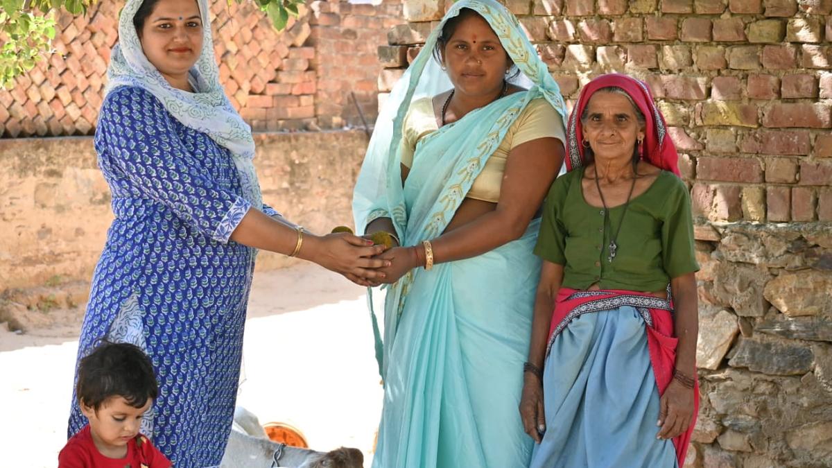 Rajasthan Sarpanch hailed for her women empowerment initiatives - The Hindu